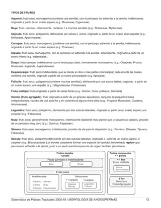 Botánica morfología de angiospermas | PDF