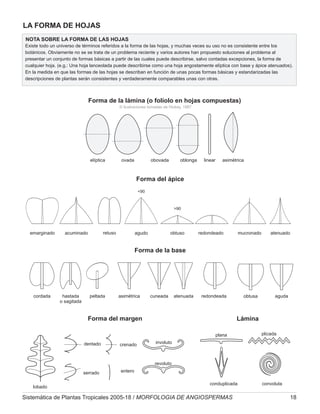 Botánica morfología de angiospermas | PDF