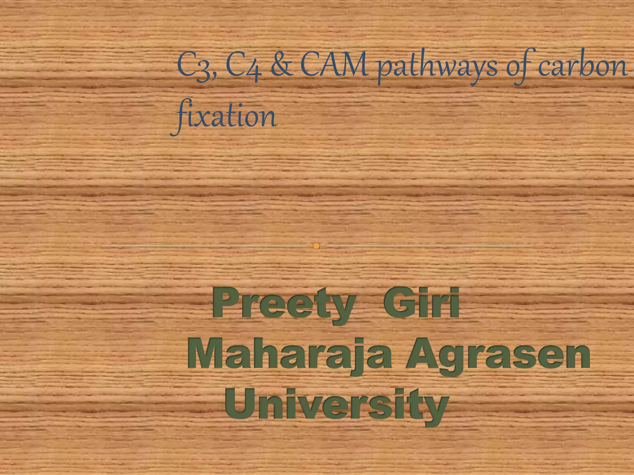 C3,C4 & CAM pathway | PPTX