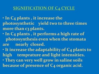 C3,C4 & CAM pathway | PPTX