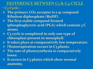 C3,C4 & CAM pathway | PPTX