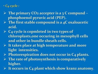 C3,C4 & CAM pathway | PPTX