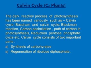 C3,C4 & CAM pathway | PPTX