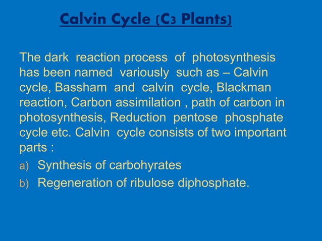 C3,C4 & CAM pathway | PPTX