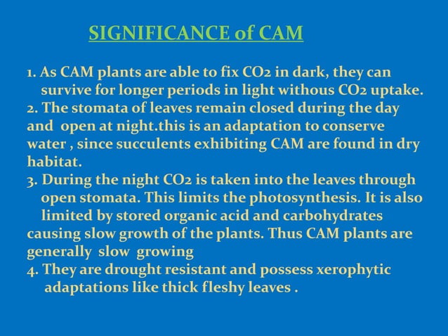 C3,C4 & CAM pathway | PPTX