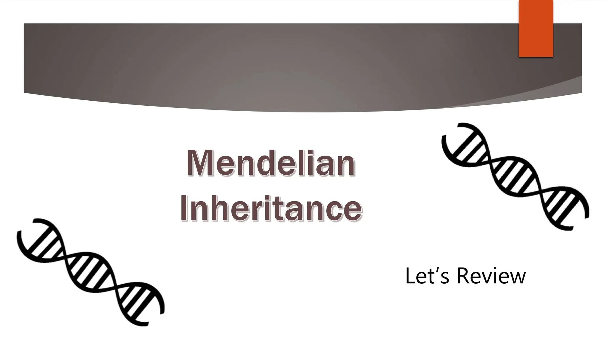 Mendelian Inheritance.ppt