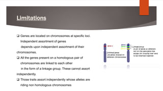 Mendelian Inheritance.ppt