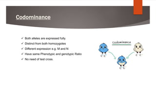 Mendelian Inheritance.ppt