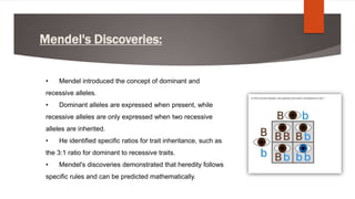 Mendelian Inheritance.ppt