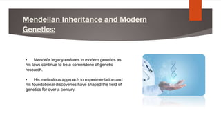 Mendelian Inheritance.ppt