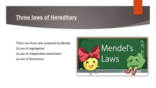 Mendelian Inheritance.ppt
