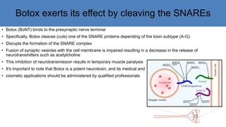Botox.pptx