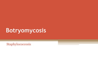 Botryomycosis.ppt hgccgjjjhgccghjhfggygggfccjjj | PPT