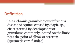 Botryomycosis.ppt hgccgjjjhgccghjhfggygggfccjjj | PPT