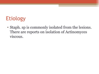 Botryomycosis.ppt hgccgjjjhgccghjhfggygggfccjjj | PPT