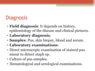 Botryomycosis.ppt hgccgjjjhgccghjhfggygggfccjjj | PPT