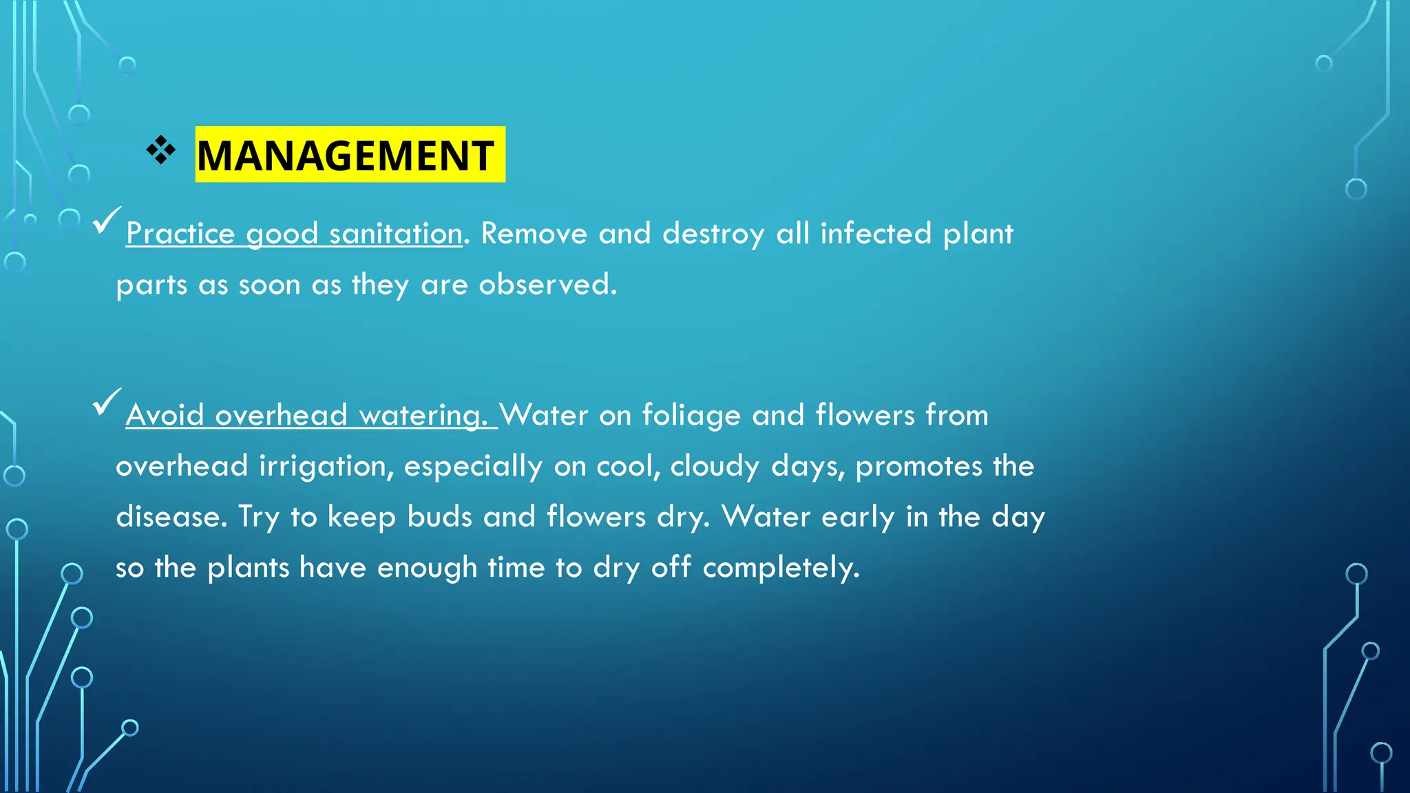 botrytis bloght of marigold disease of marigold | PPTX