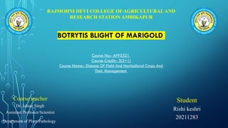 botrytis bloght of marigold disease of marigold | PPTX