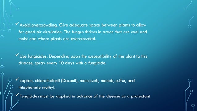 botrytis bloght of marigold disease of marigold | PPT