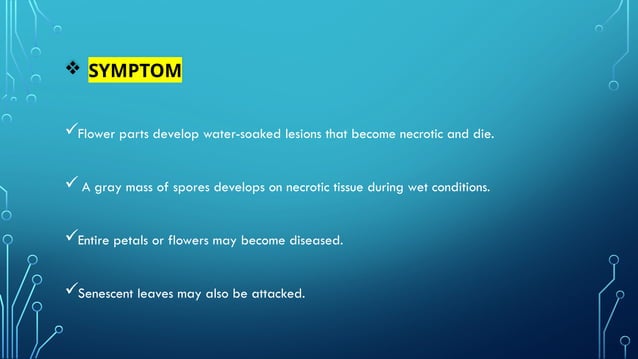 botrytis bloght of marigold disease of marigold | PPT