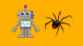 Bots and spiders | PPTX