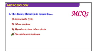 Comprehensive Overview of Bacterial Reproduction and Their Impact on ...