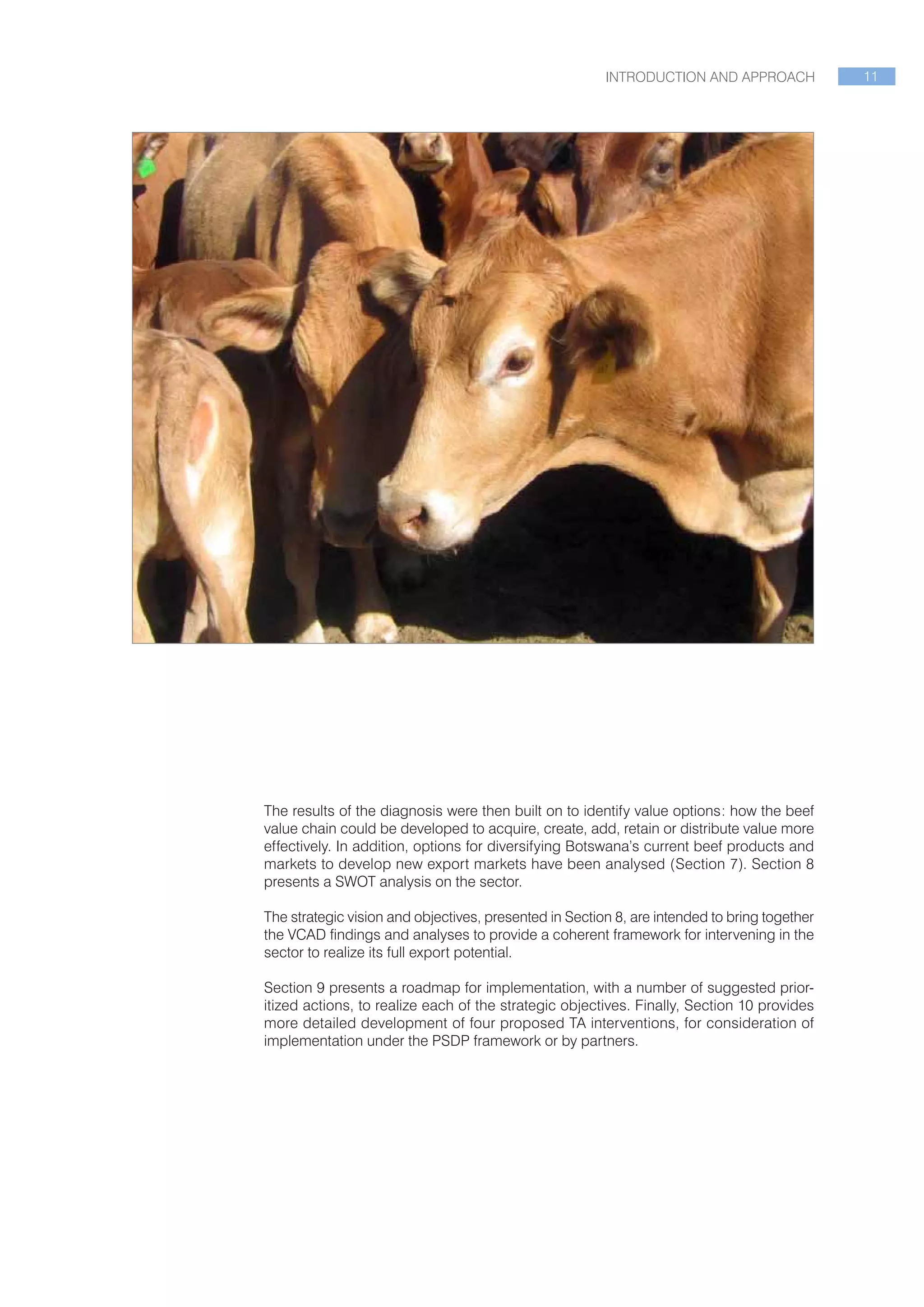 Botswana: Beef sector value chain analysis and action plan | PDF