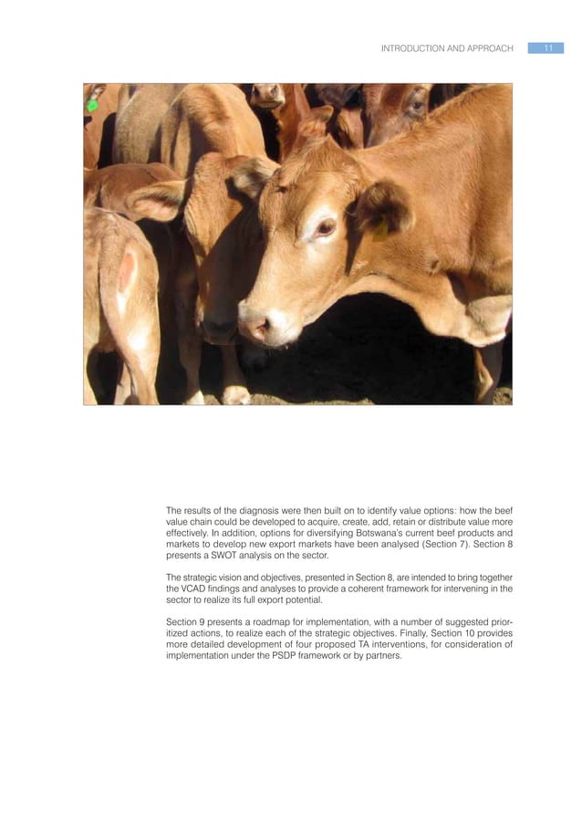 Botswana: Beef sector value chain analysis and action plan | PDF ...