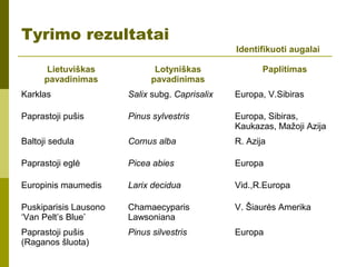 Bot tako augalai4 | PPT