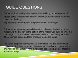 Bottled balloons- group 4 | PPTX