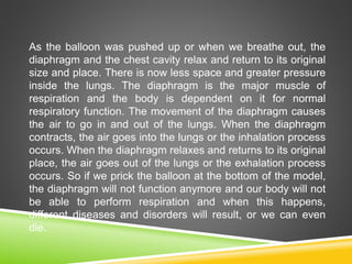 Bottled balloons- group 4 | PPTX