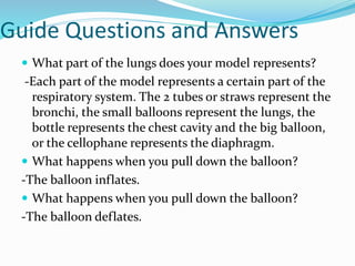 Bottled balloons - group 2 | PPTX