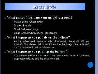 Bottled balloons -group5 | PPTX