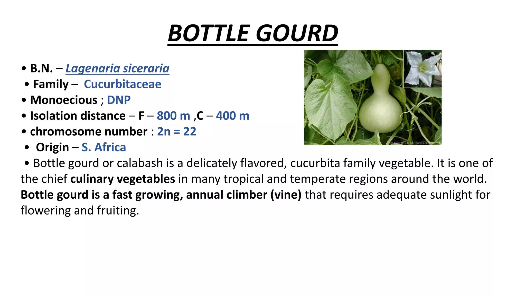 Production Technology of Bottlegourd | PPTX