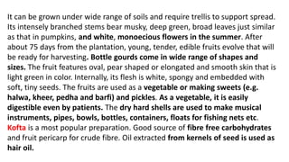 Production Technology of Bottlegourd | PPTX