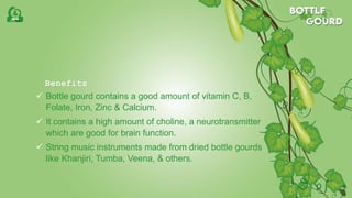 Bottle Gourd | PPTX