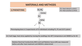Breeding for agronomic traits, nutrient compositions and stress ...