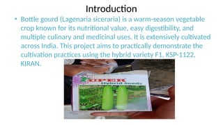 Bottle_Gourd_Cultivation_Project_English.pptx