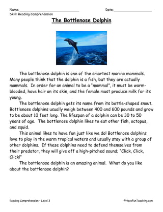 Bottlenose dolphin | PDF