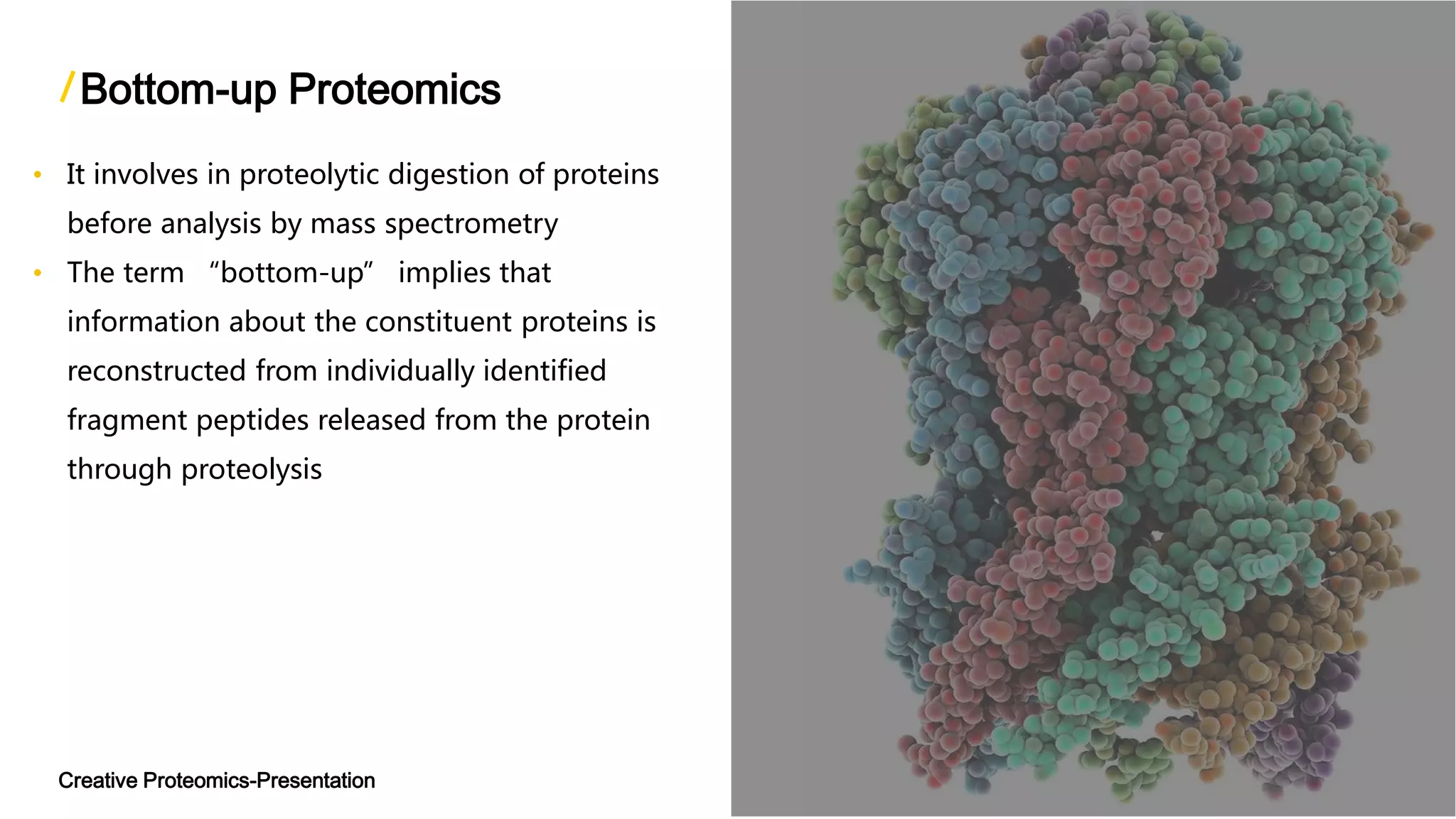 Bottom-up proteomics and top-down proteomics | PPTX
