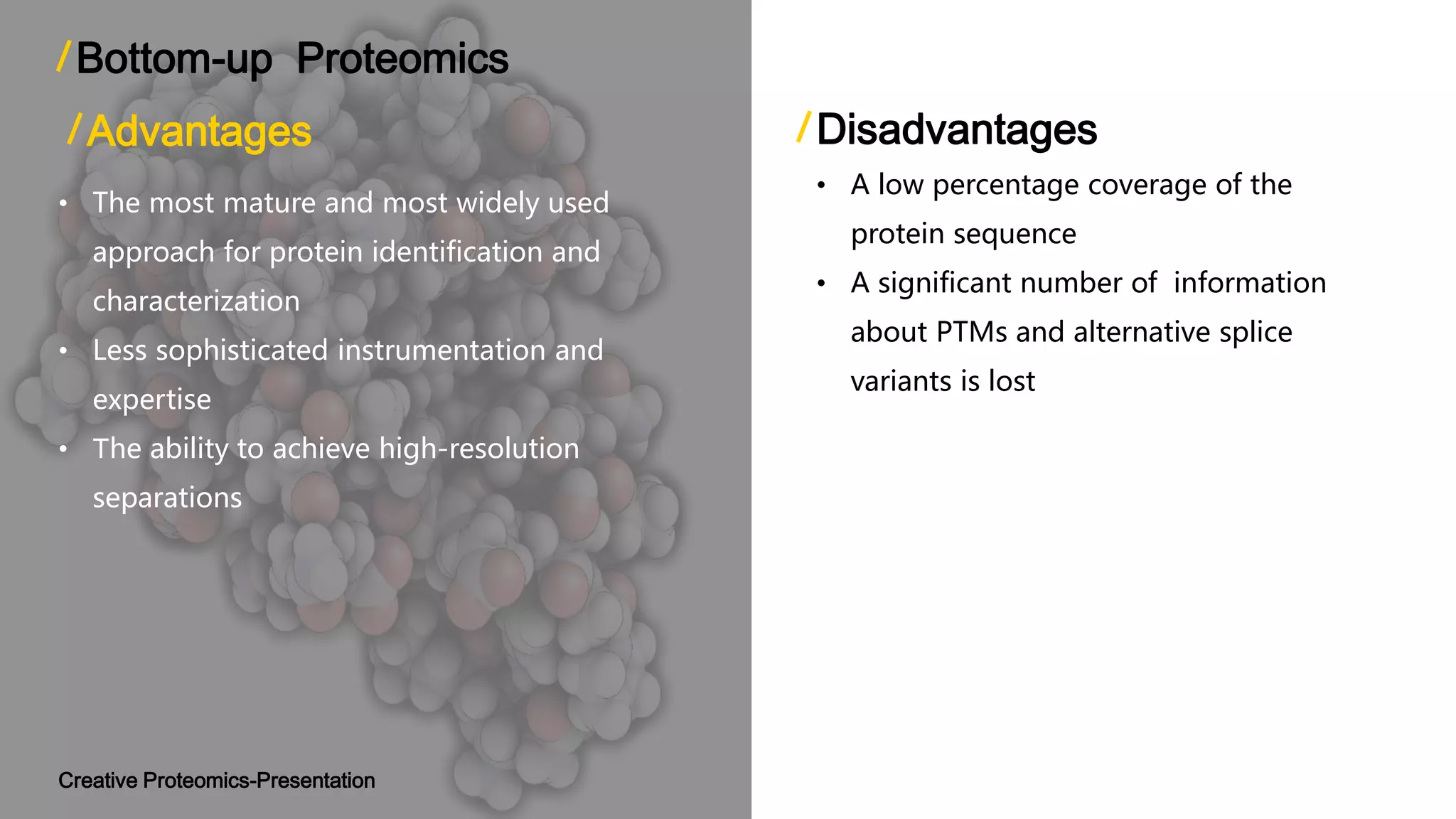 Bottom-up proteomics and top-down proteomics | PPTX