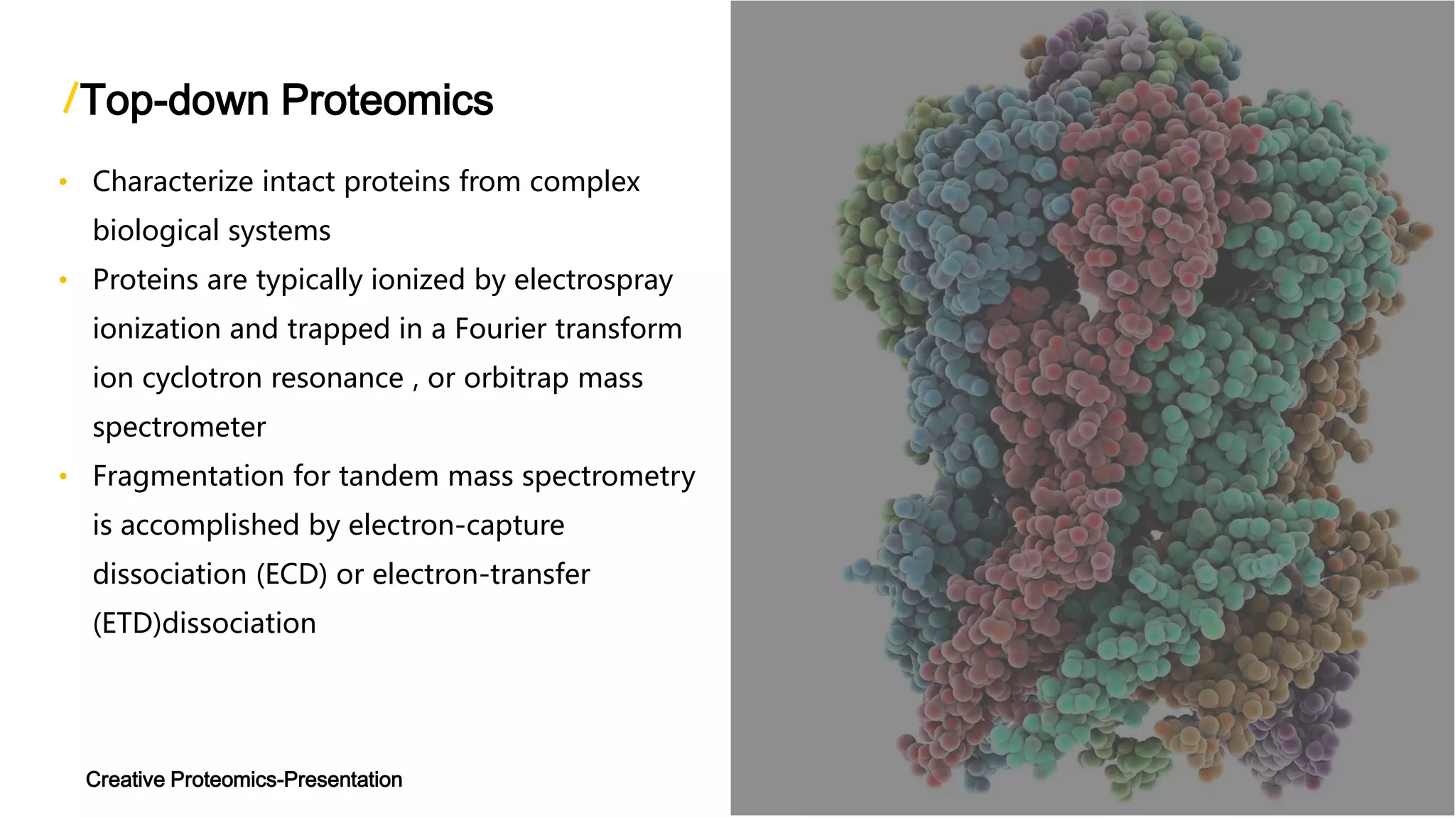 Bottom-up proteomics and top-down proteomics | PPTX