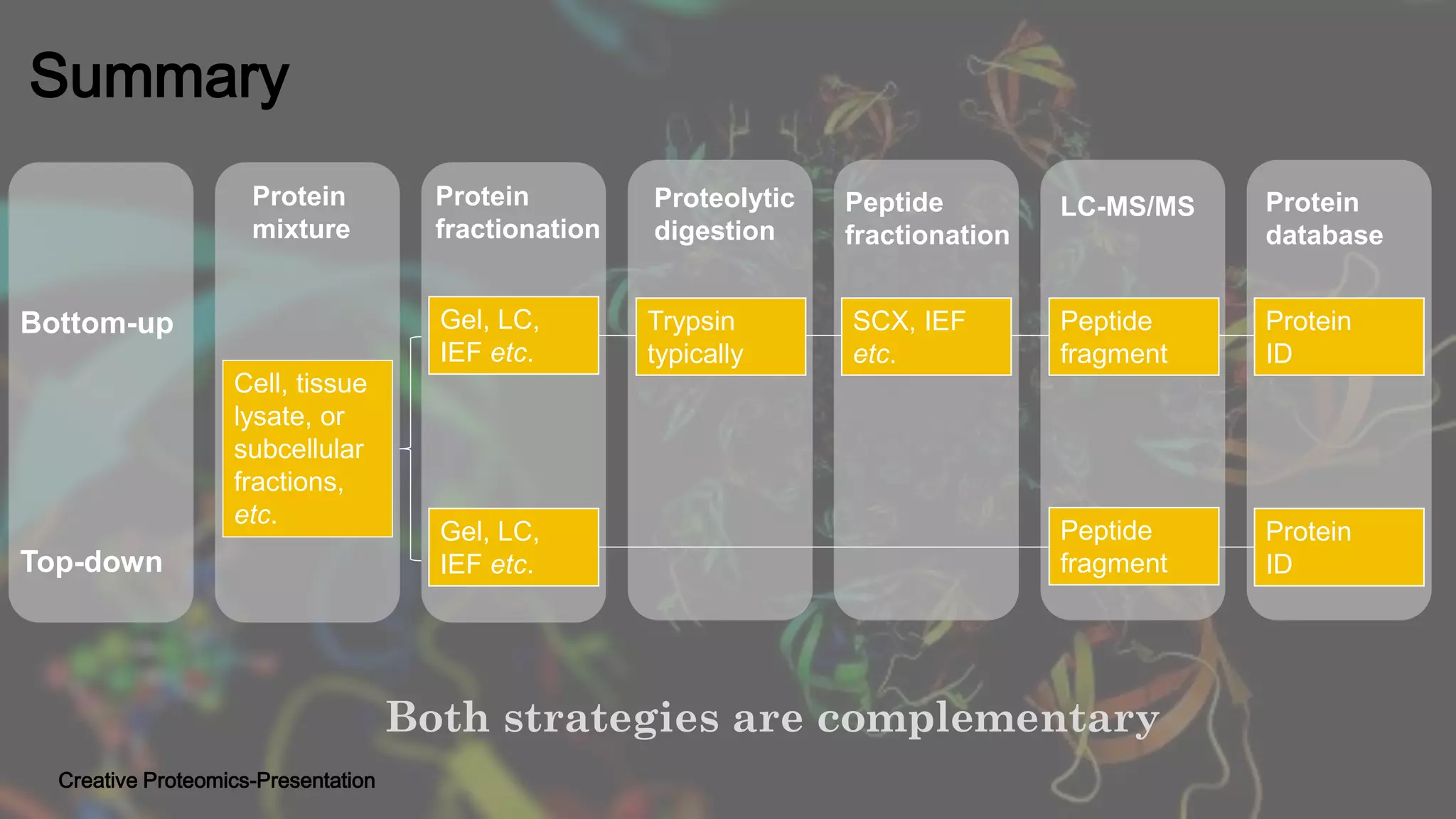 Bottom-up proteomics and top-down proteomics | PPTX