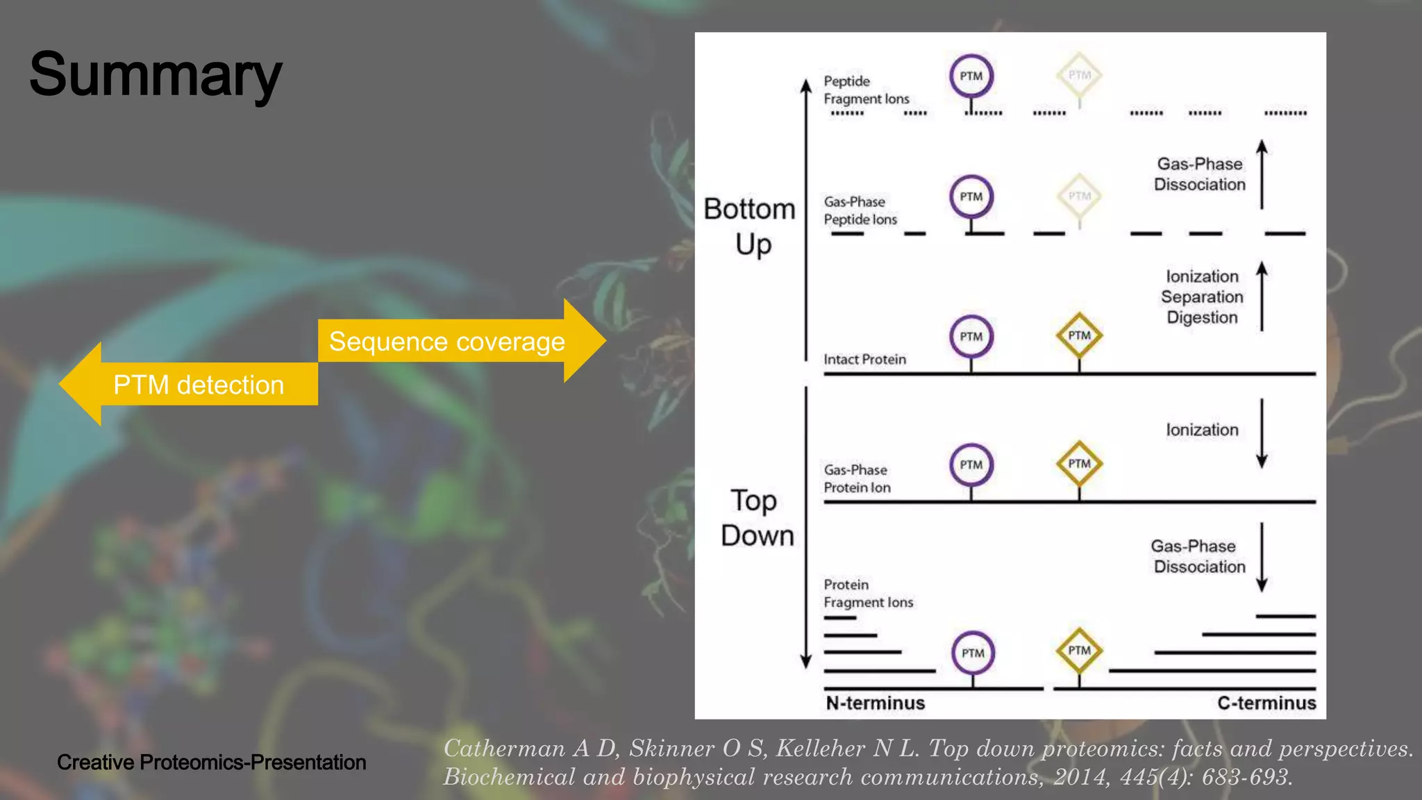 Bottom Up Proteomics And Top Down Proteomics Pptx