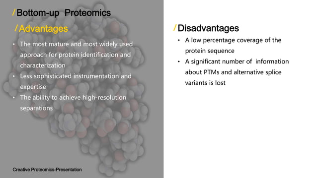 Bottom-up proteomics and top-down proteomics | PPTX
