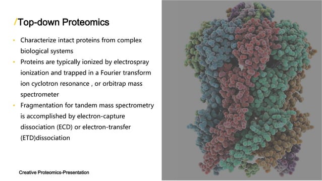 Bottom-up proteomics and top-down proteomics | PPTX