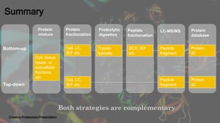 Bottom-up proteomics and top-down proteomics | PPTX