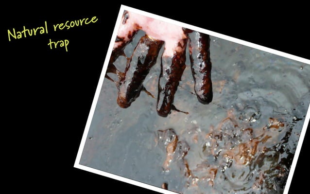 Paul Collier - The Bottom Billion | PDF