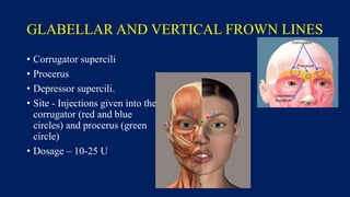 BOTOX - Botulinum toxin in aesthesis | PPTX