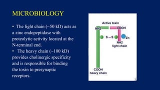 BOTOX - Botulinum toxin in aesthesis | PPTX
